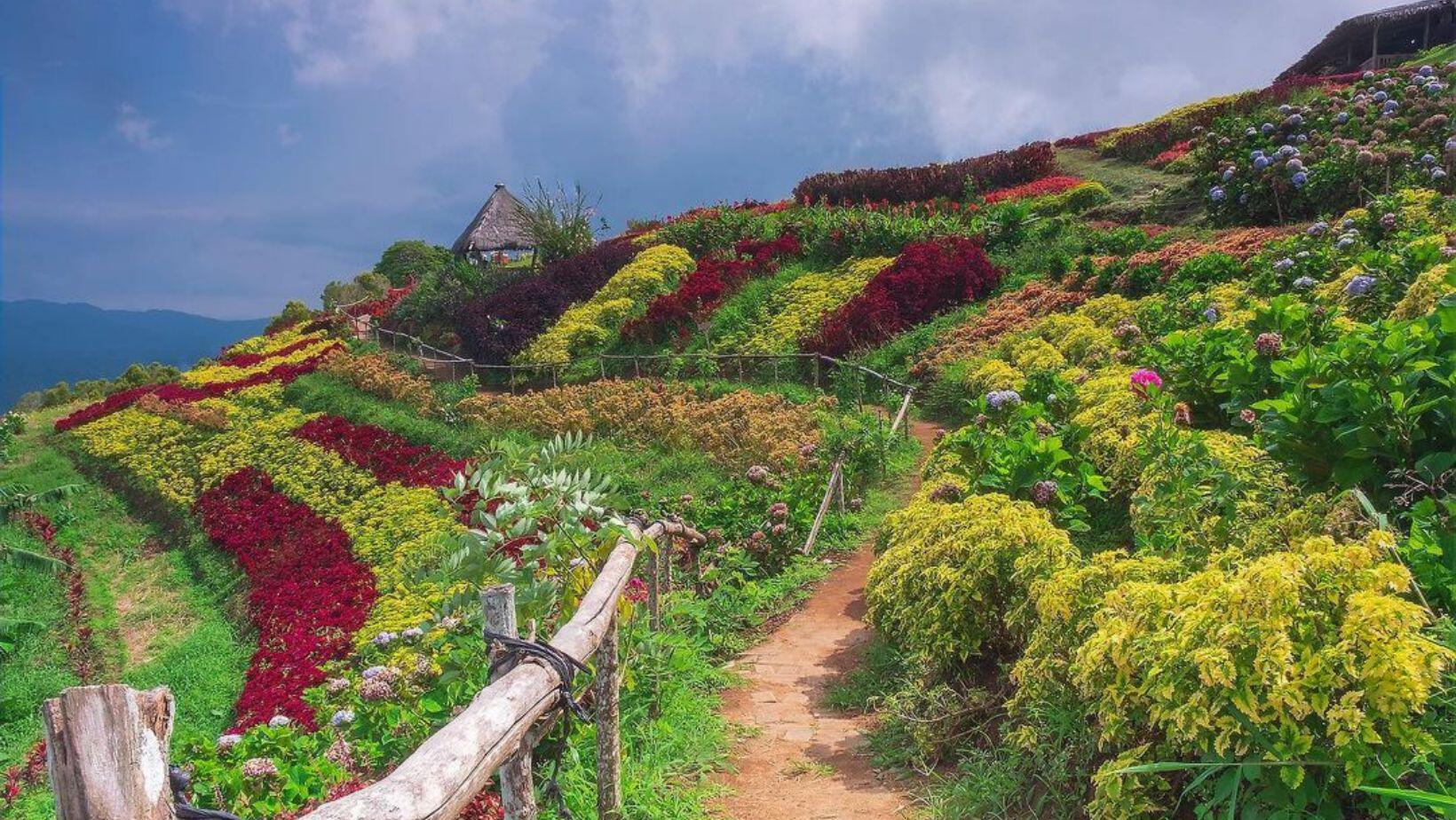 Puncak Tetetana Suluan di Minahasa | Atourin Puncak Tetetana Suluan di Minahasa | Atourin